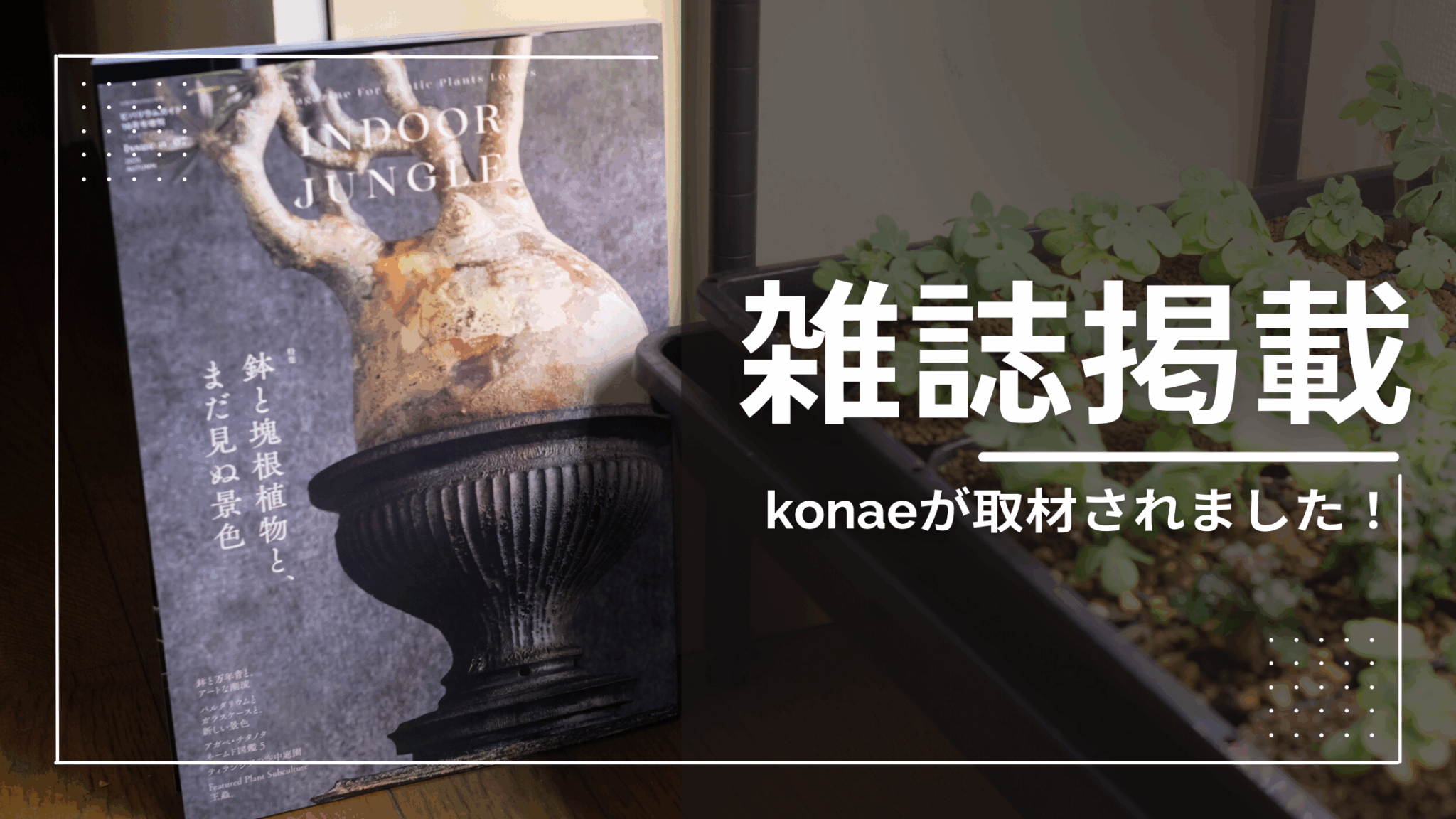 konaeが雑誌に掲載されました。 | 株式会社konae